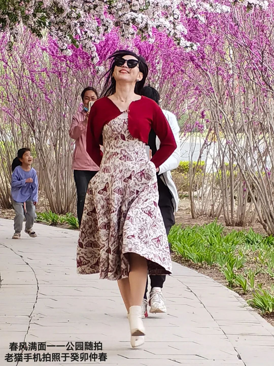 Inscription Poetry Old Cat Late Spring Photography: Wang Guanling, Tian Weiling, Ren Xiuwen ...