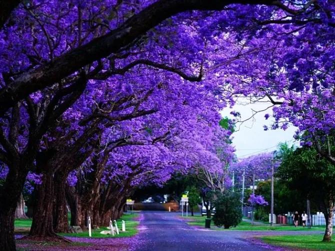 Eternal love: deep thinking under the moon, the same life - iMedia