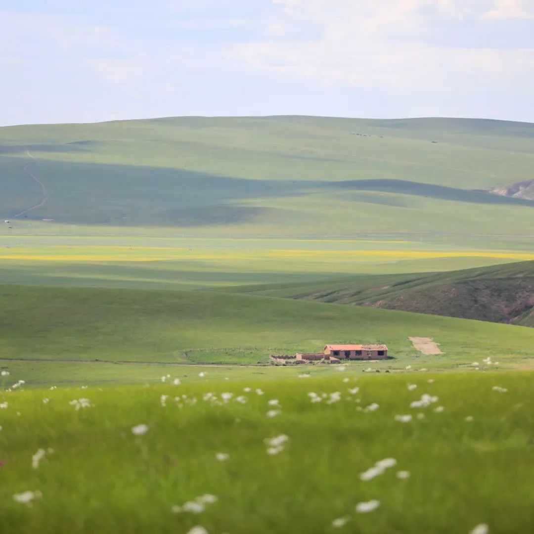Inner Mongolia, eating meat - iMedia