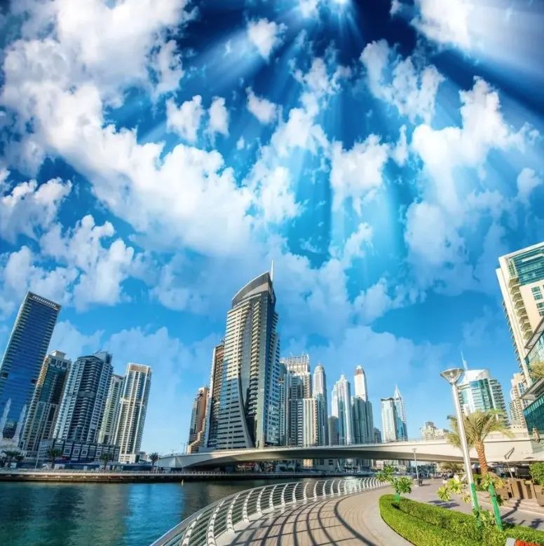 Is Fortune Seed a MLM?Let's listen to Connie's story and tell you the ...