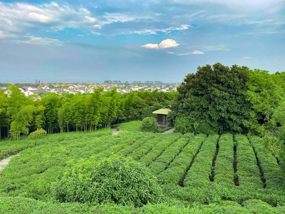On this hill in the north of Huzhou City, there used to be a queen of ...