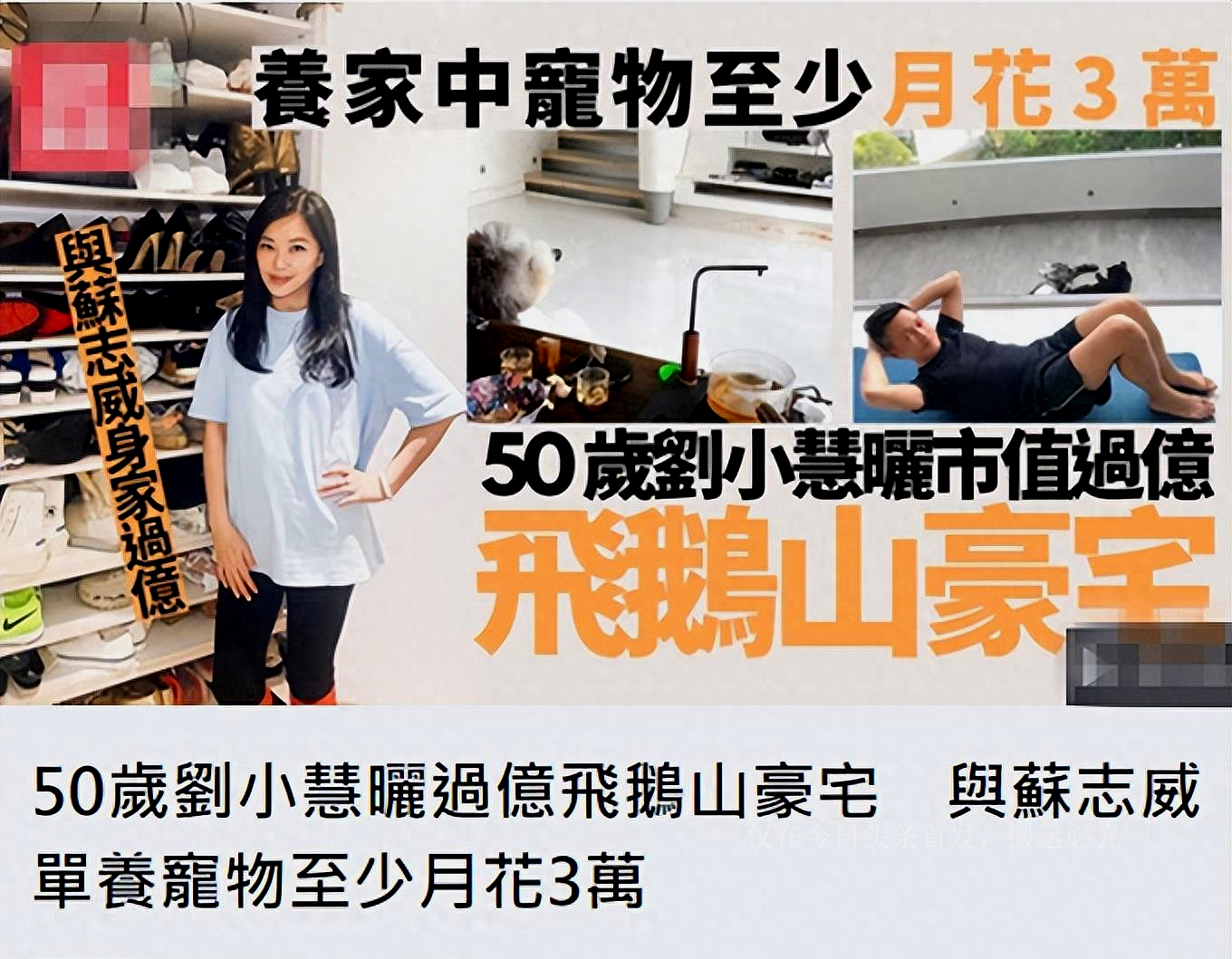 50-year-old Liu Xiaohui's recent situation, married Su Zhiwei and lived in a mansion worth over ...