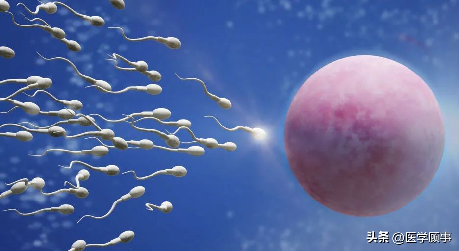"Nature": A milestone in artificial embryos! "Total Synthesis" of Human ...