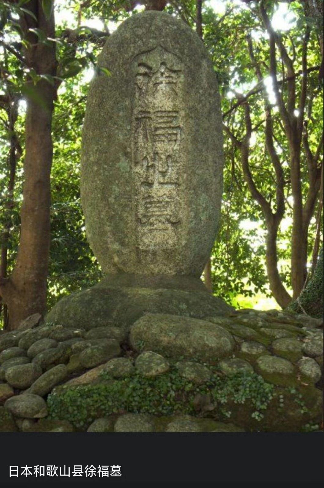 Xu Fu: Did Xu Fu really reach Japan in history? - iMedia
