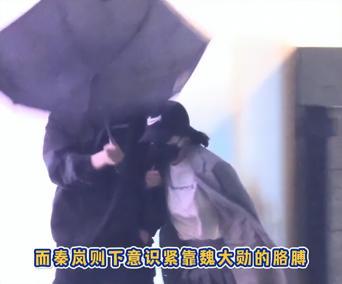 Destroy the rumors of the Cold War! Wei Daxun and Qin Lan walked arm in arm in the rain, Qin Lan ...