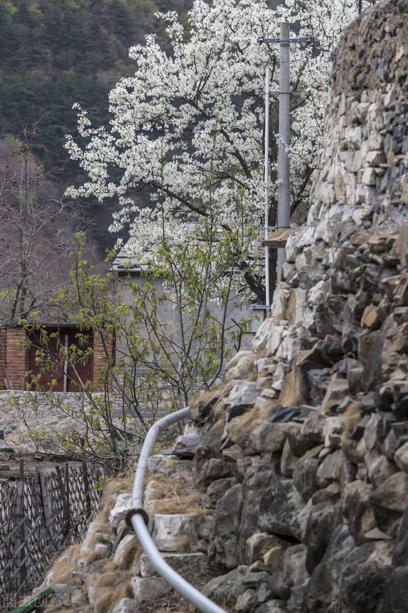 The mountains are heavy and there is no way to restore doubts: Lu You ...