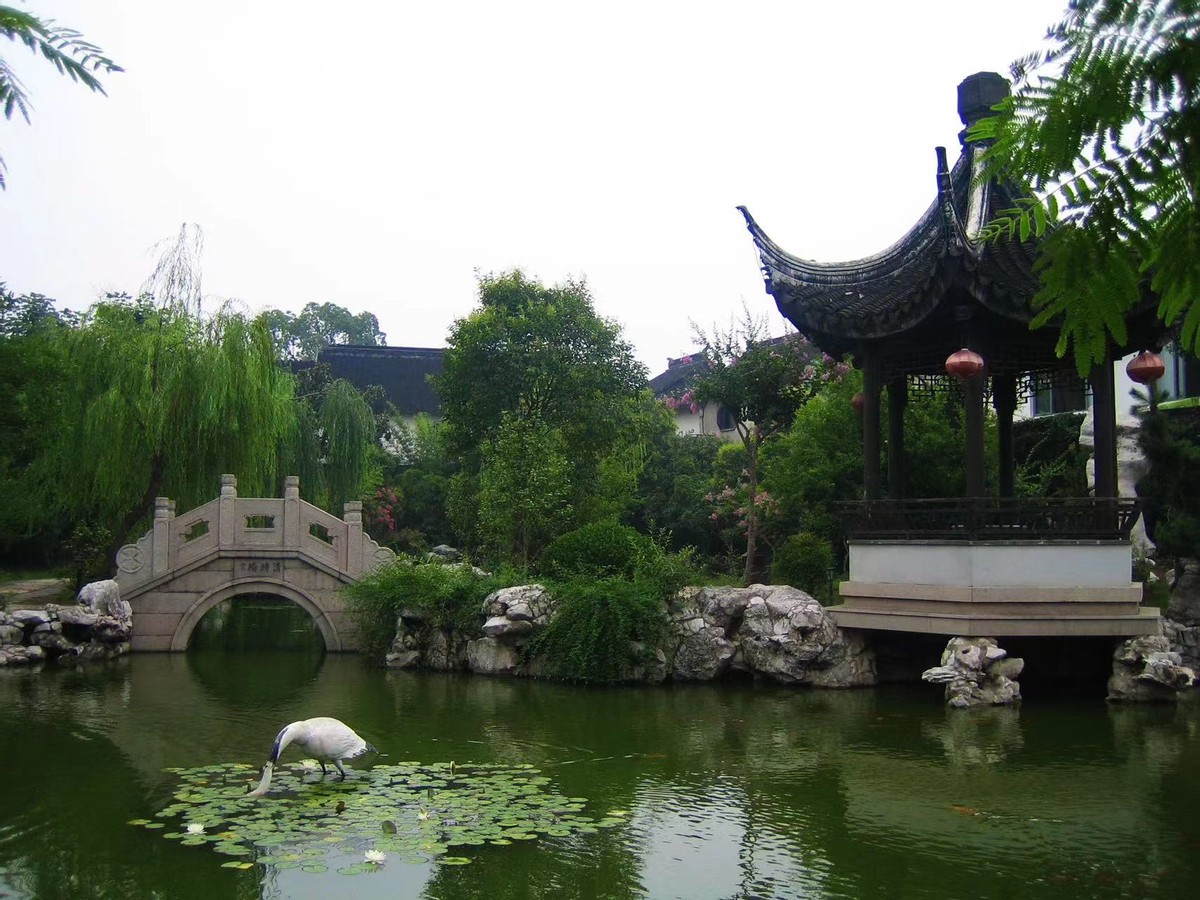 Exploring the stone art in traditional Chinese gardens - iNEWS