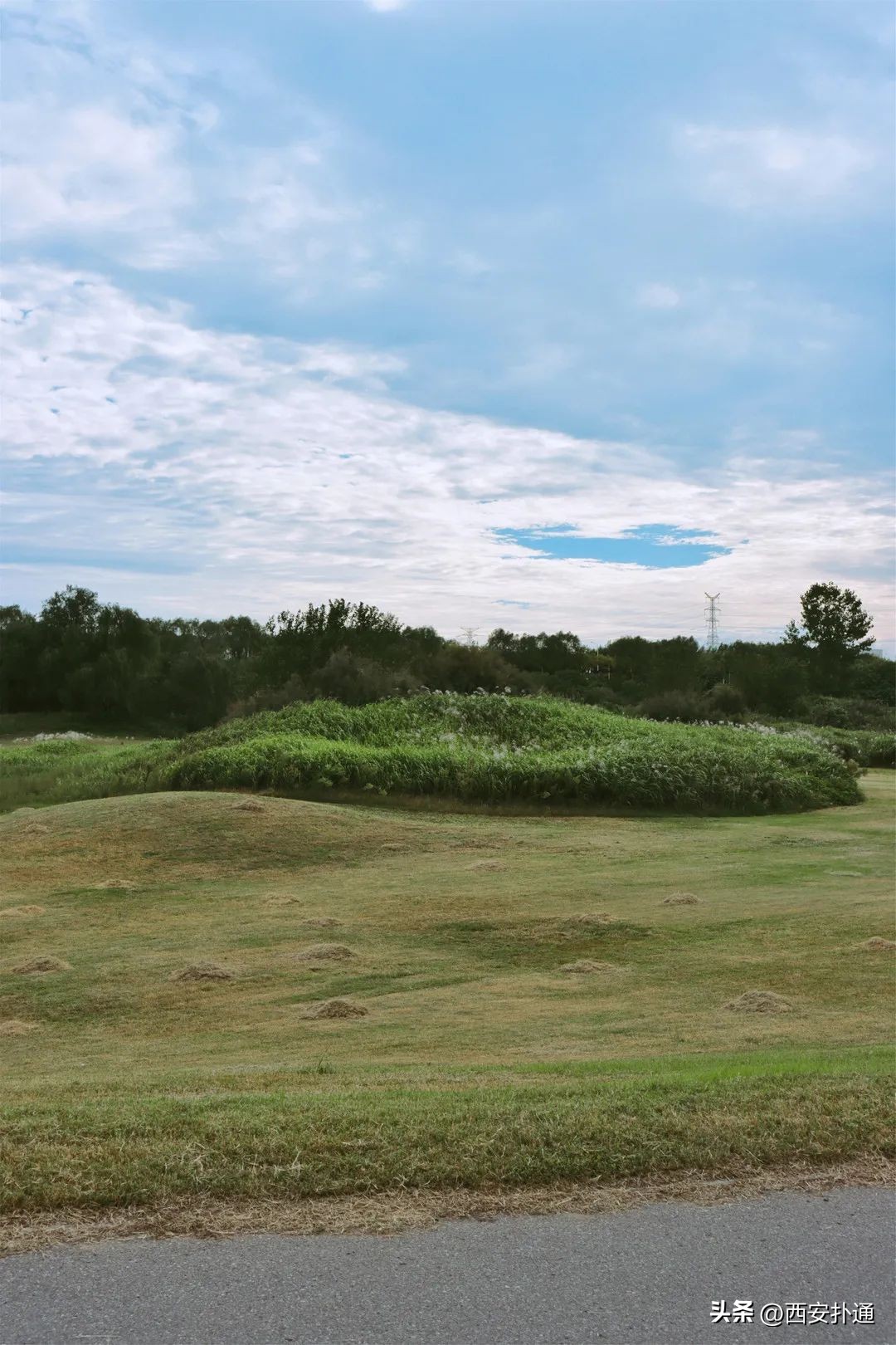 This secret park in the north of the city, with boundless lawns and ...