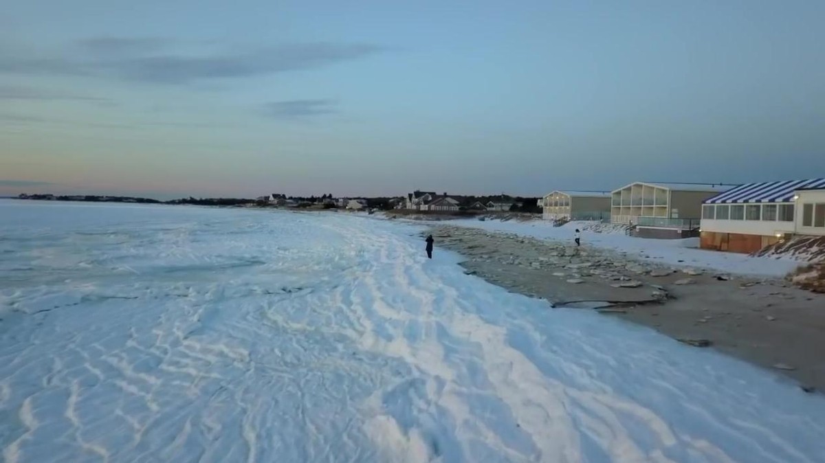 Want to live forever? Try putting the human body in liquid nitrogen at ...