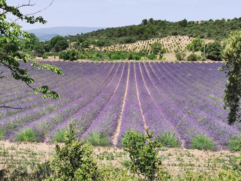 Travel in France (24) - Ode to the Rhone Valley - iNEWS