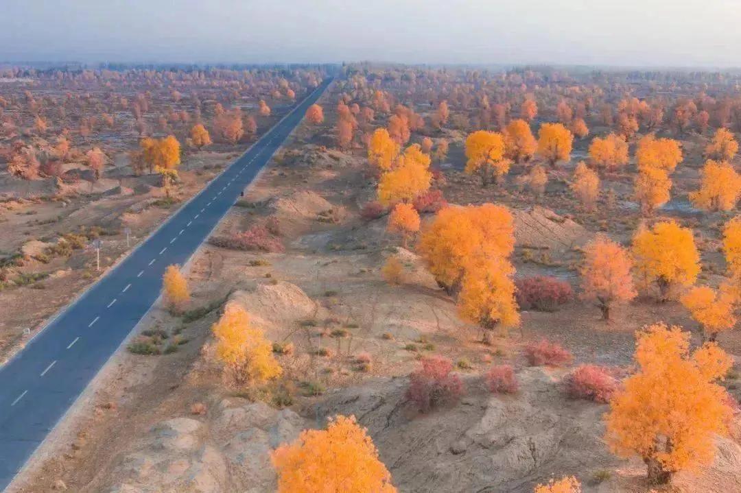 Tarim Desert Highway Self-driving - iNEWS
