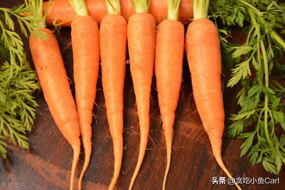 Top 10 Healthy Vegetables and Their Functions - iMedia