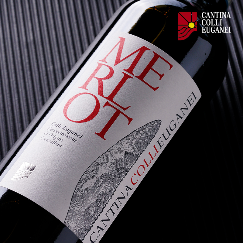 "Red Wine Tasting Notes"Italian Merlot Red Wine - iNEWS