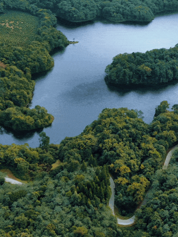 This is the correct way to play in Yunnan. Follow Xikang Yunshe to ...