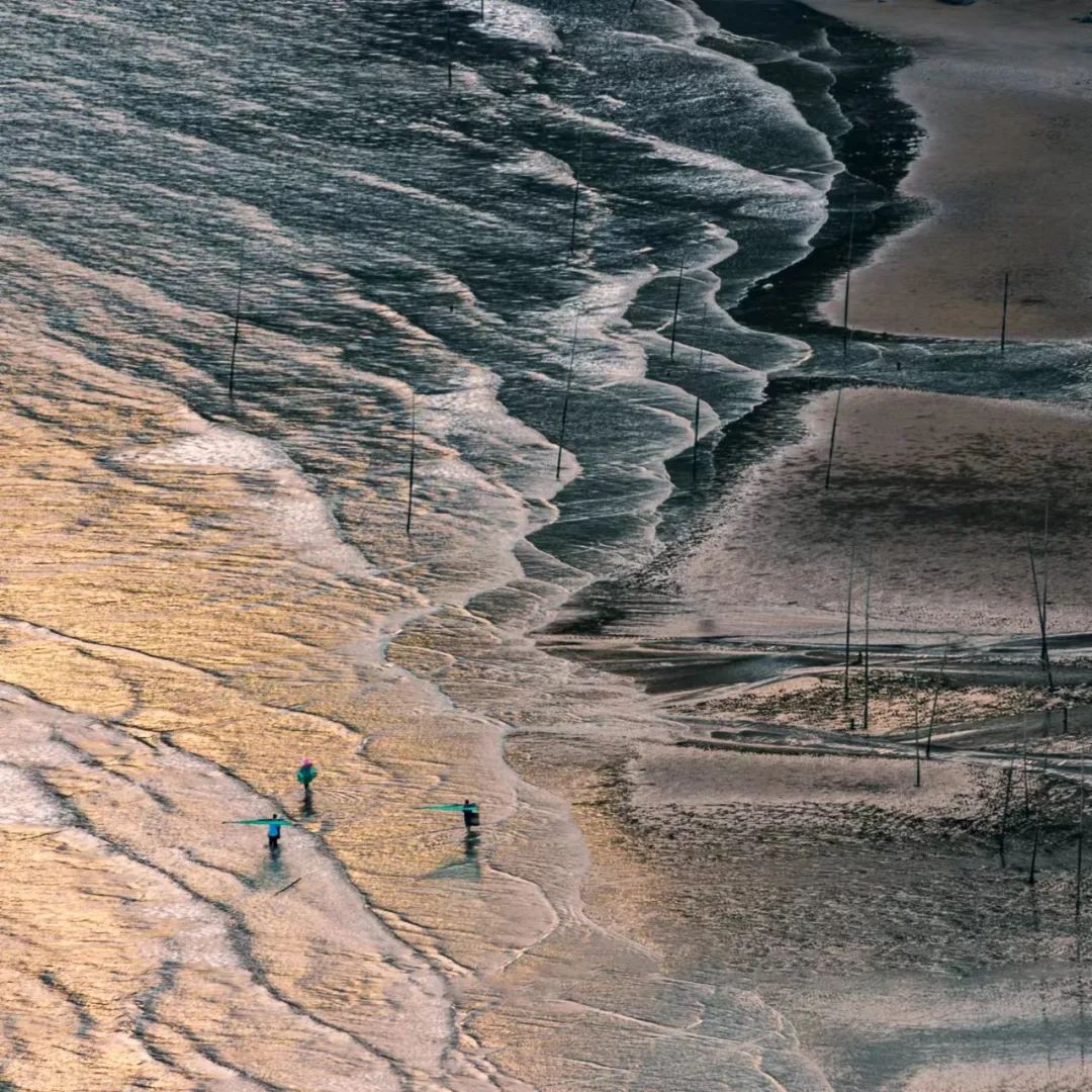 Selected by "China National Geographic" as the most beautiful tidal flat internet celebrity ...