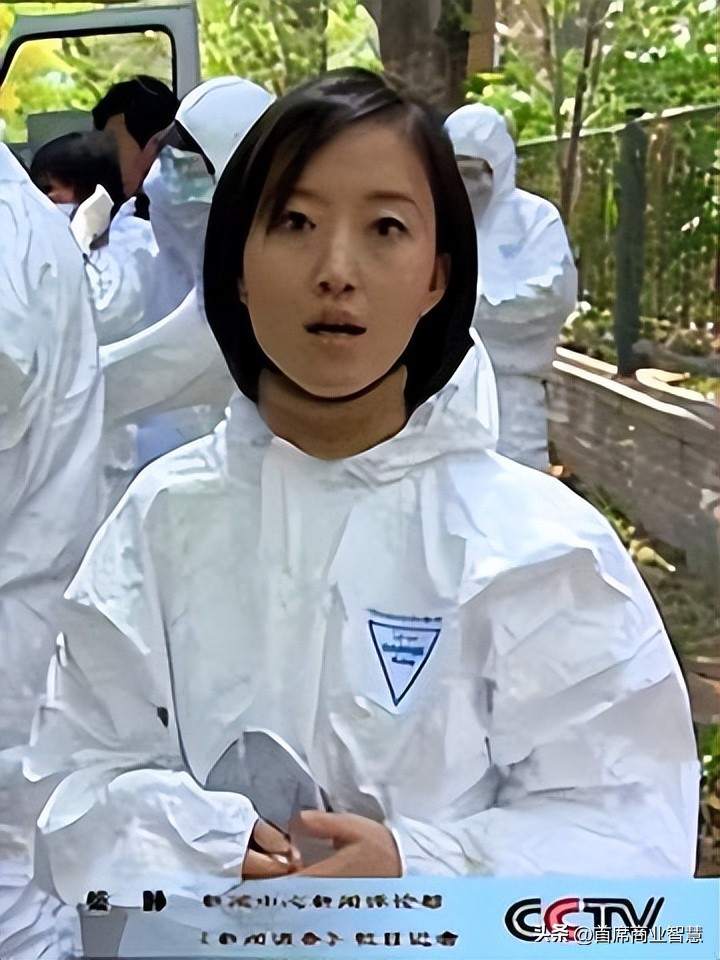 Chai Jing, who went to the United States to give birth and settled in ...