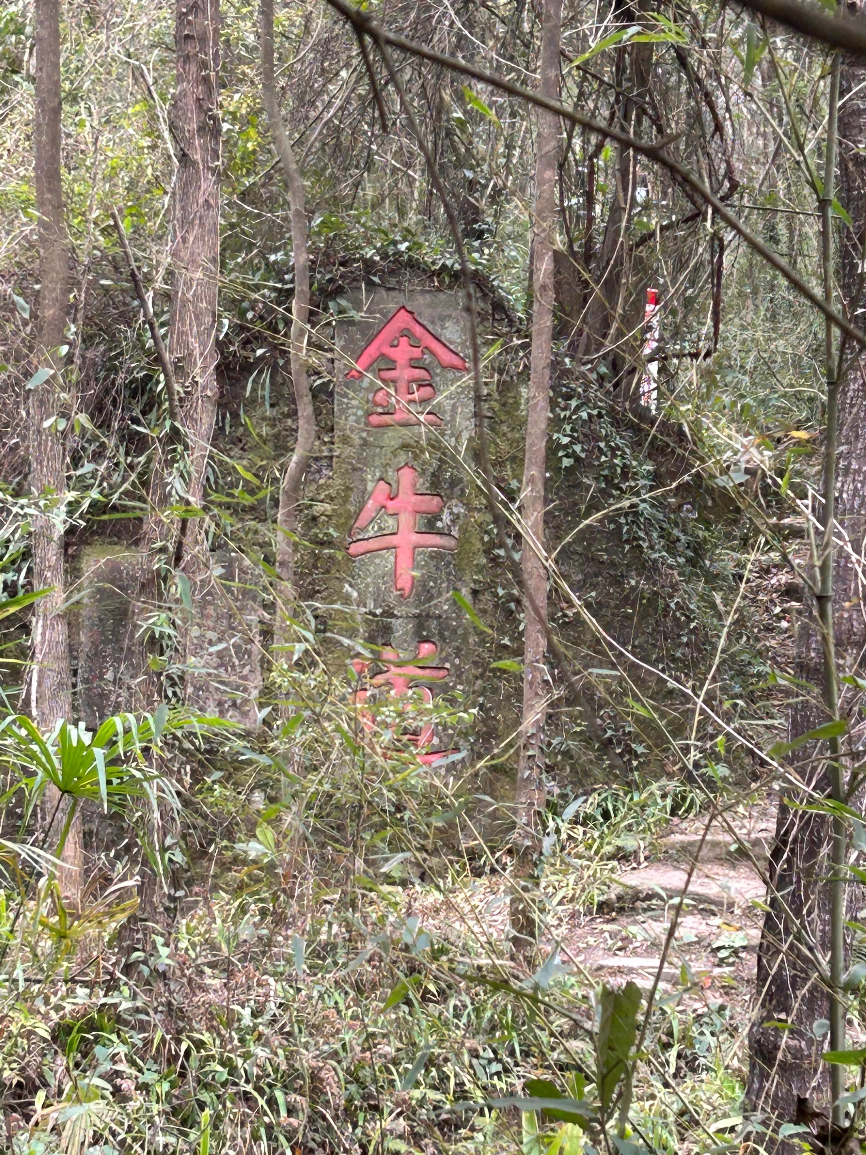 Tour the Xiongguan Pass of Jianmen and experience the difficulty of the ...