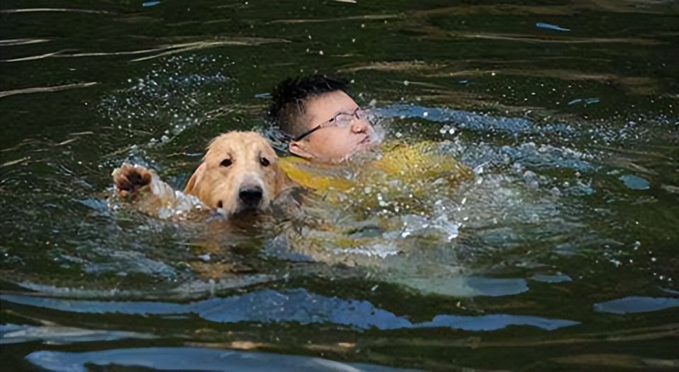 Are dogs responsible?Where is its sense of responsibility?How Your Dog ...