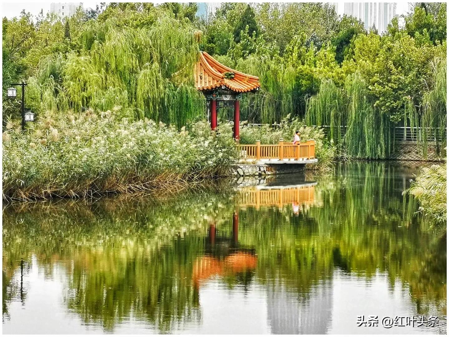 On the Six Poems. Jia Xixin - iNEWS