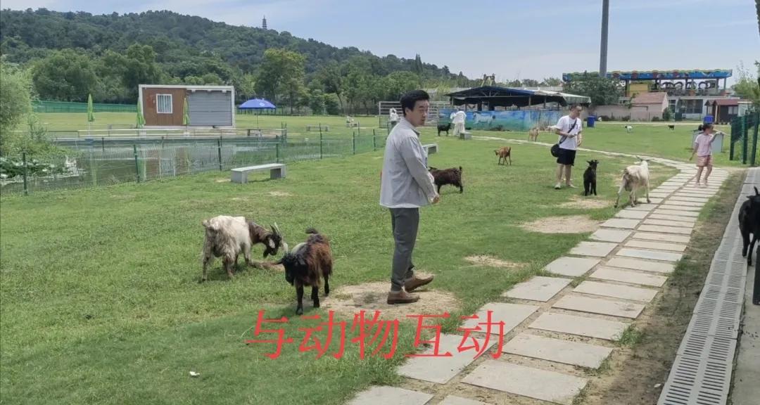 Suzhou Shangfangshan Forest Animal World - iMedia