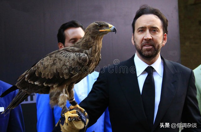 How did Cage go from an Oscar winner to a bad movie king? - iMedia