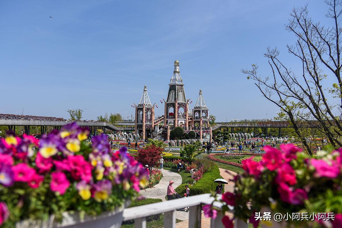 Feel the charm of Dashang in Shanghai Pujiang Country Park - iNEWS