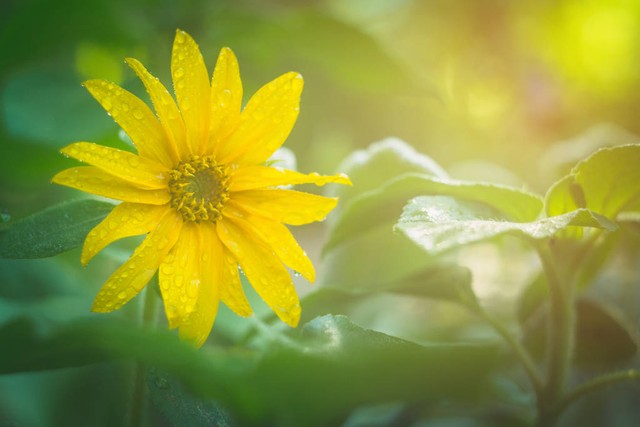 The collision of time and life: understanding the philosophy of life ...