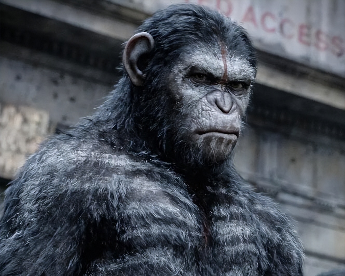 "Rise of the Planet of the Apes" has a fourth installment, but ...