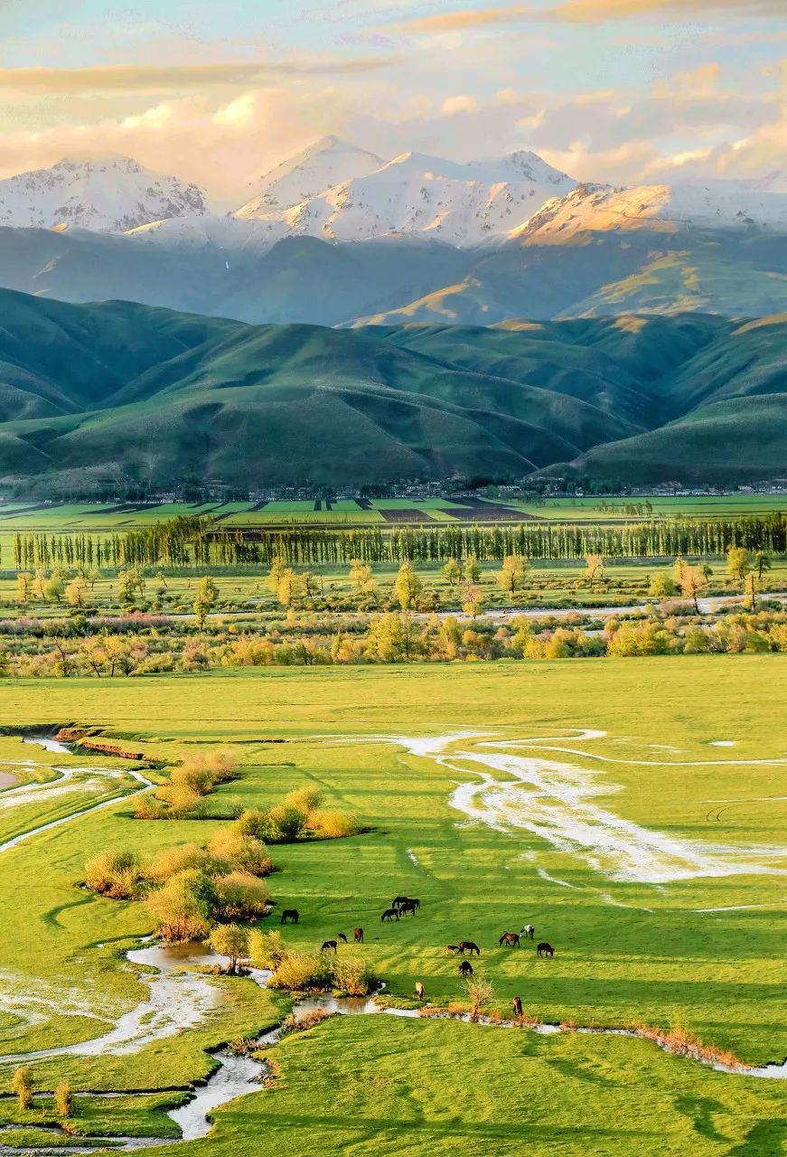 Always come to see it, Xinjiang in summer - iNEWS