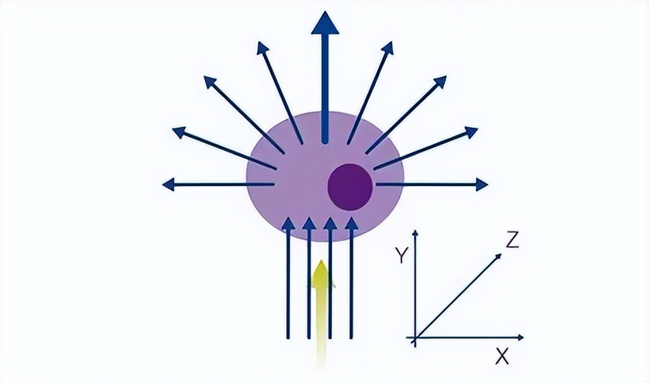 Understanding flow cytometry in one article - iMedia