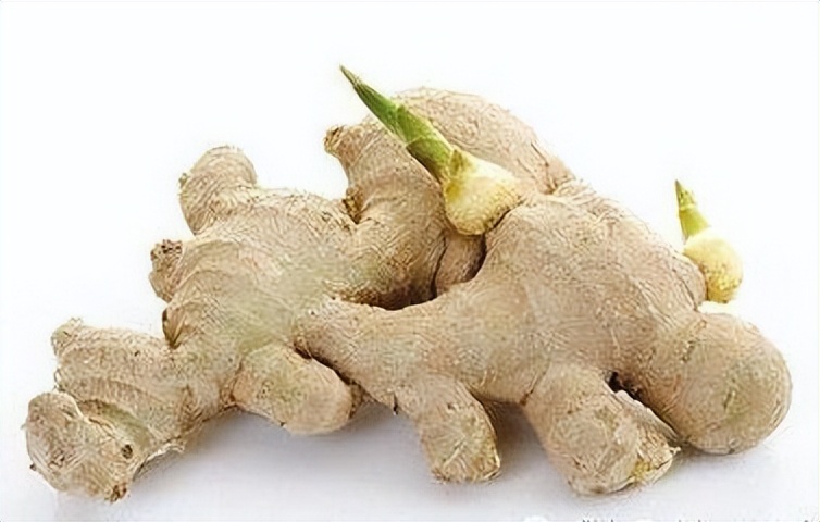 Is ginger poisonous after sprouting?The doctor reminds: these 4 kinds ...