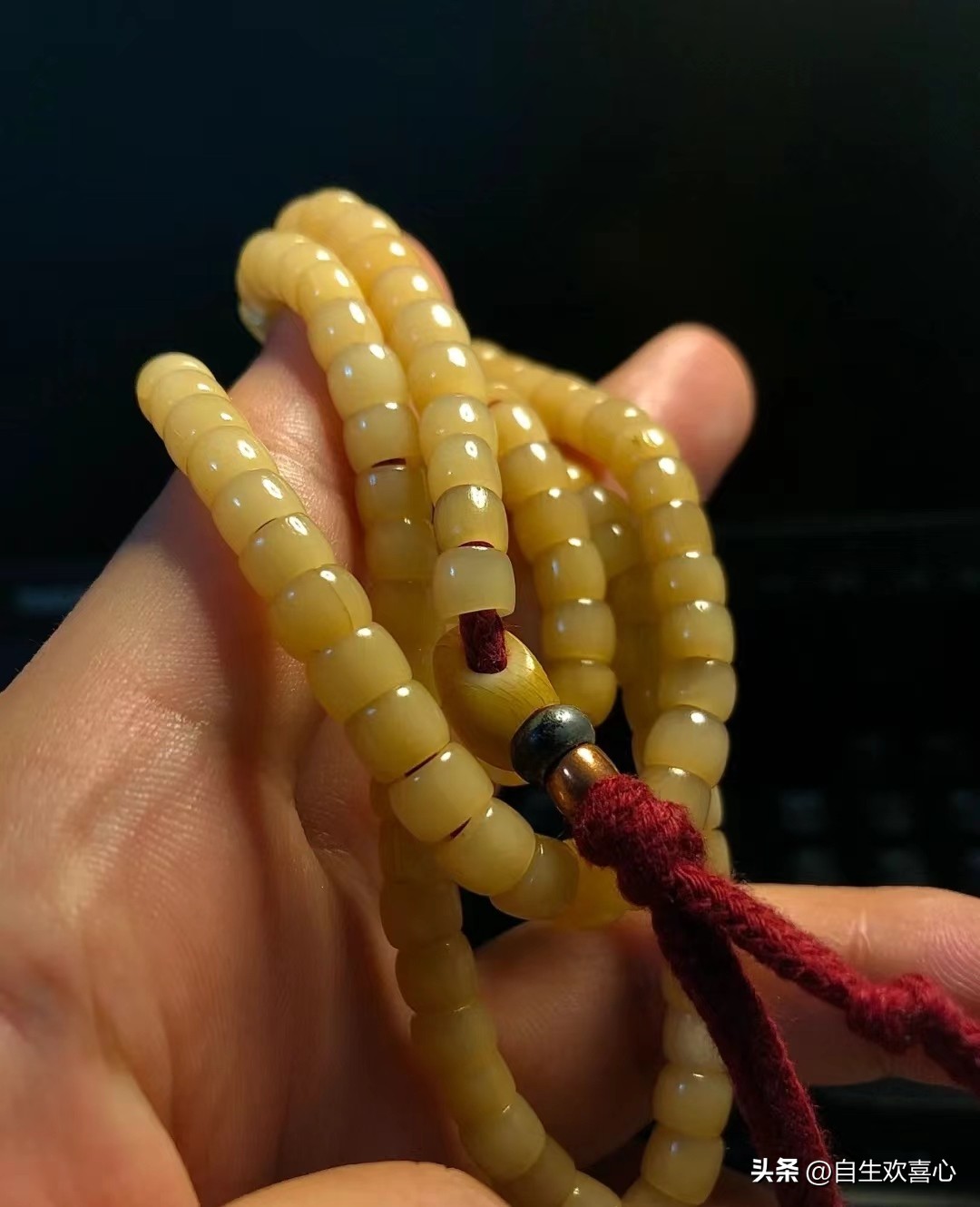 Talking about the "Inside Story" of the Sixth Issue of Himalayan ...