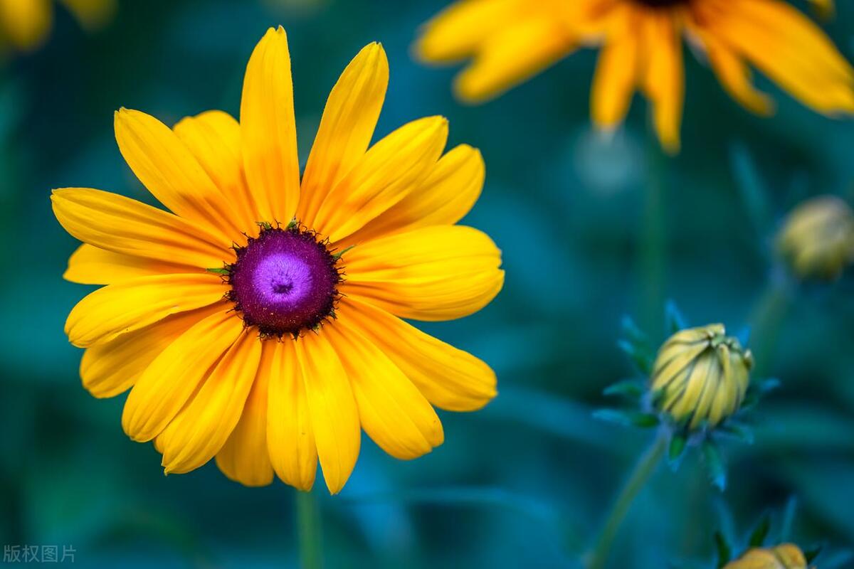 A 70-year-old man's monologue: In his later years, his brothers and ...