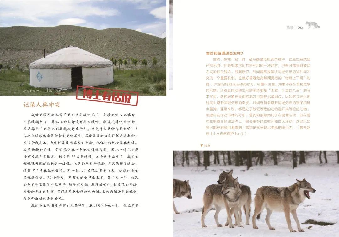 Unraveling the Mysteries of Wild Animals——"Wild Hunting" Series - iMedia