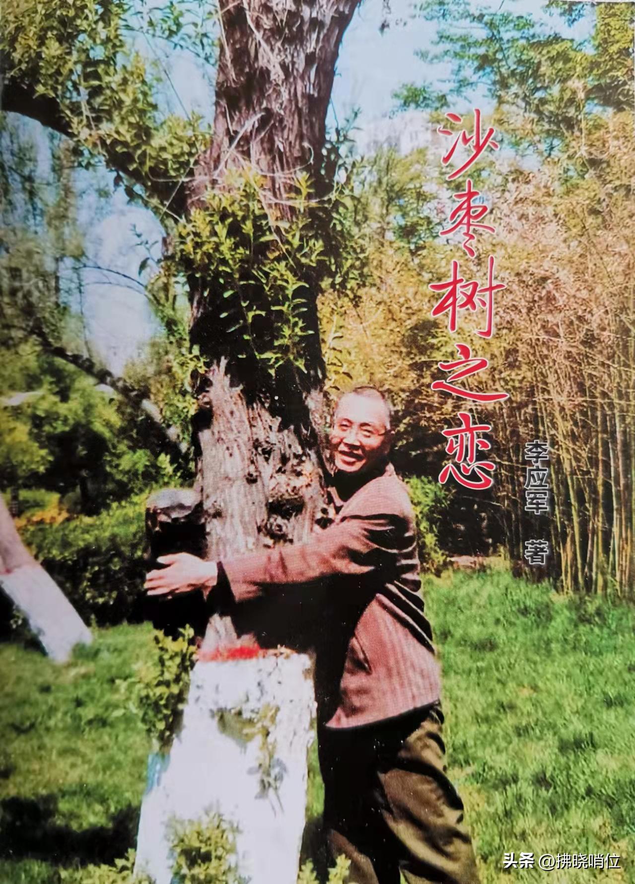 Li Yingjun: Love of the Jujube Tree - iNEWS