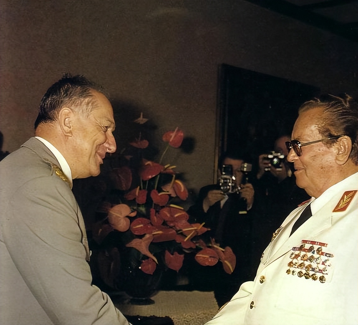 Tough Stalin, defeat the mustache, how tiger Tito the Balkan tiger is ...