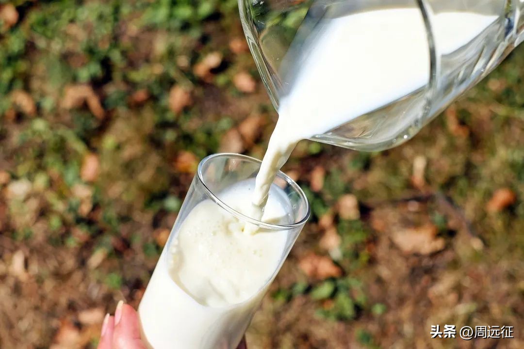After Yashili delisted, how did Mengniu “save” its milk powder business ...