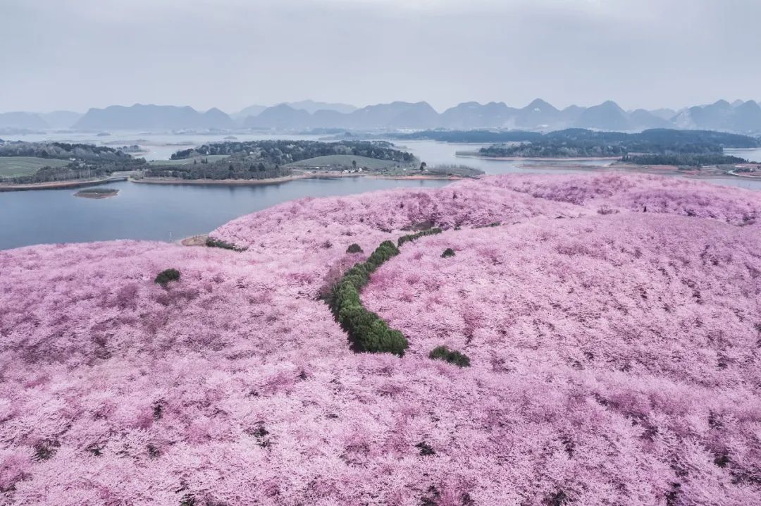 Crazy Amway by "National Geographic", the landscape is more unique than ...