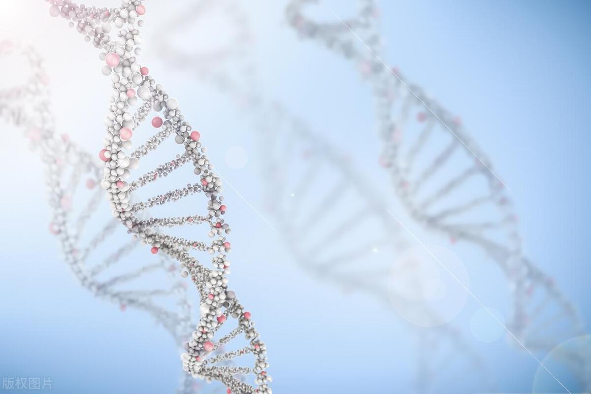 What is DNA? - iNEWS