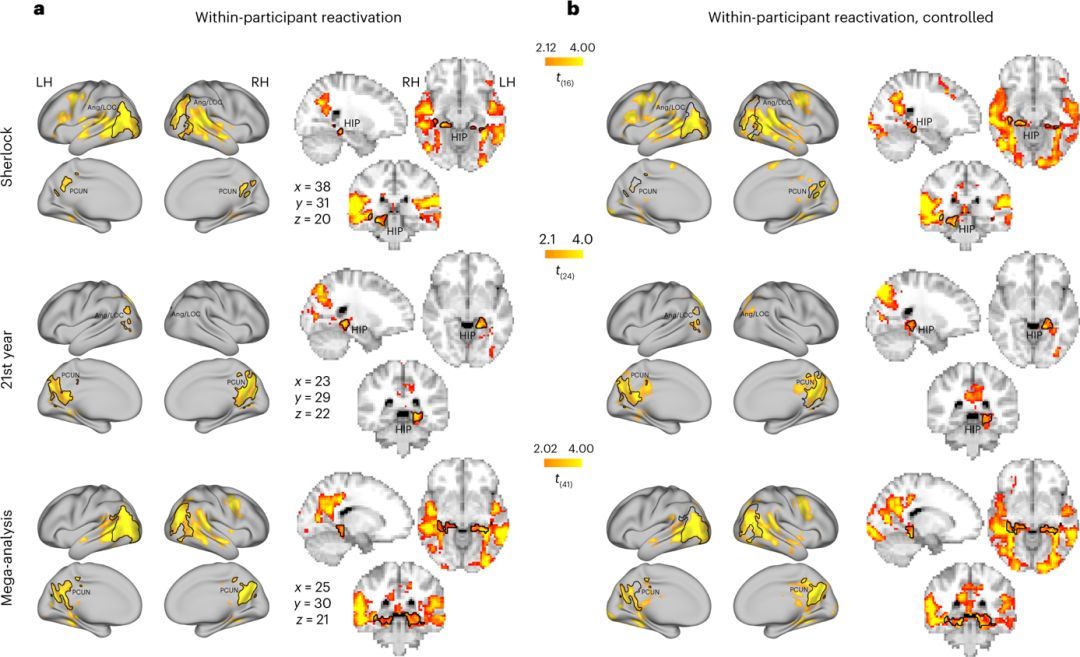Nat Neurosci: How do we perceive the world continuously? - iMedia