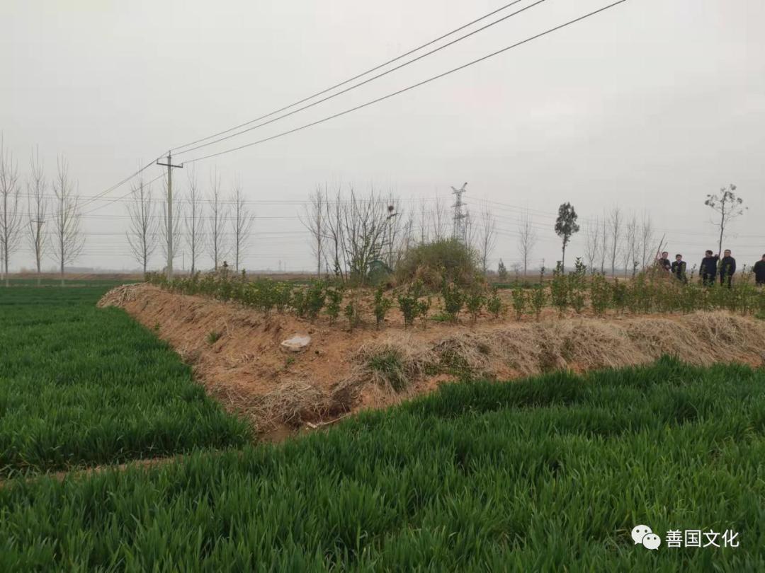 Research on the Tomb Site of Zhang Zhonghong, Shanxi Governor in the ...
