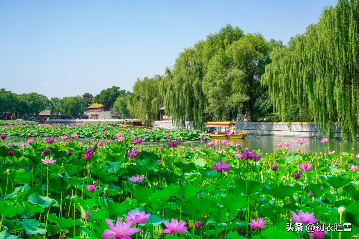 Six Songs of Autumn Willows in Qingli Early Autumn - iNEWS