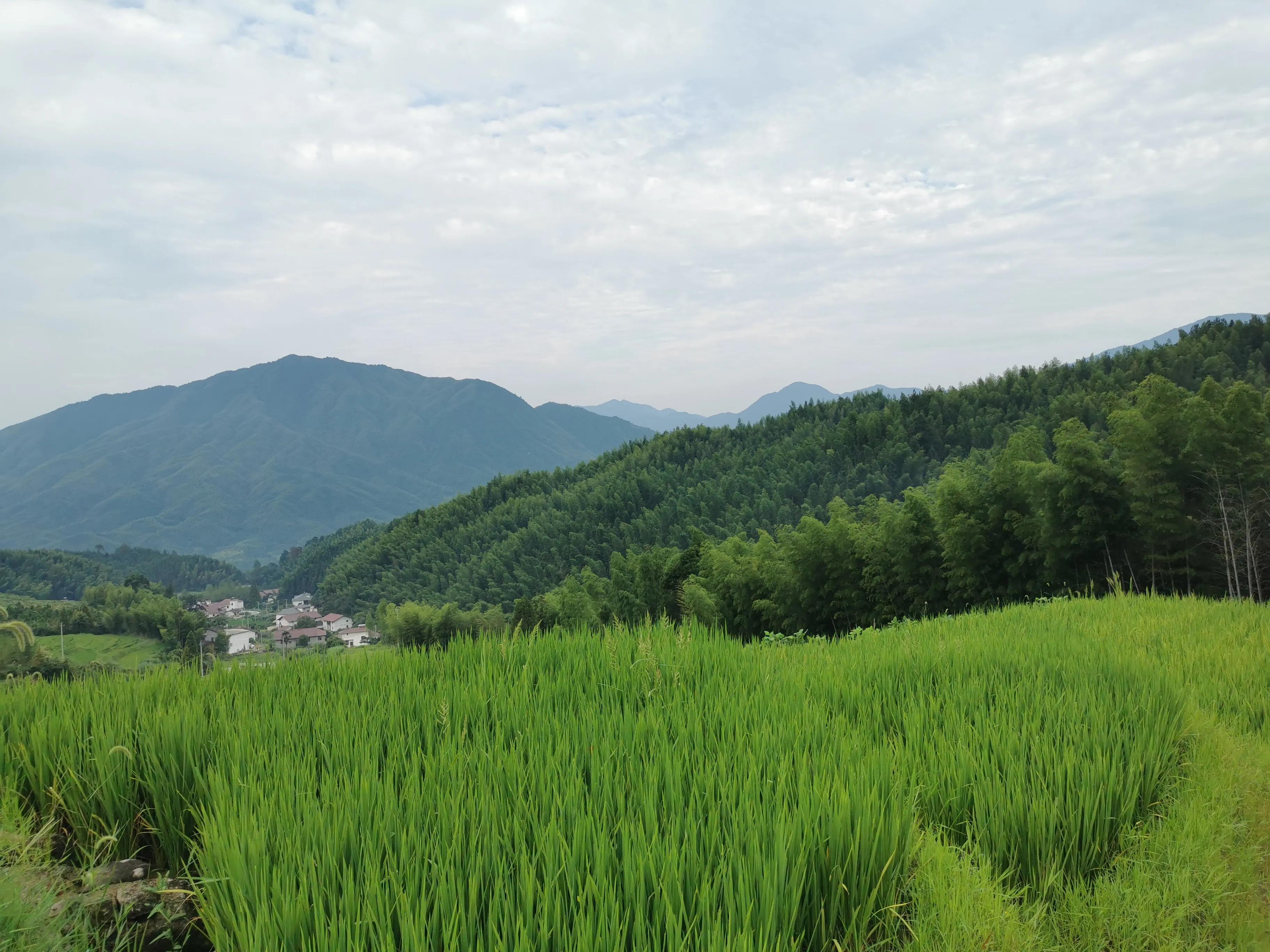 Fengxin Yangping Village - a summer resort - iNEWS