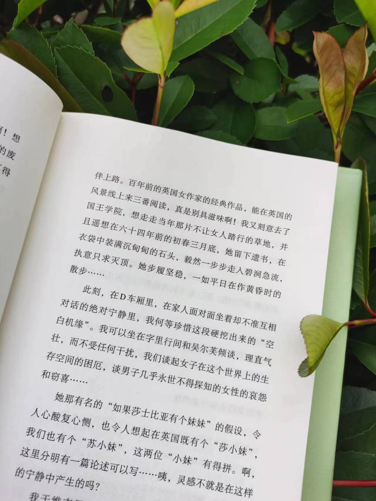 Taiwanese writer Zhang Xiaofeng's humorous and clever words are like ...
