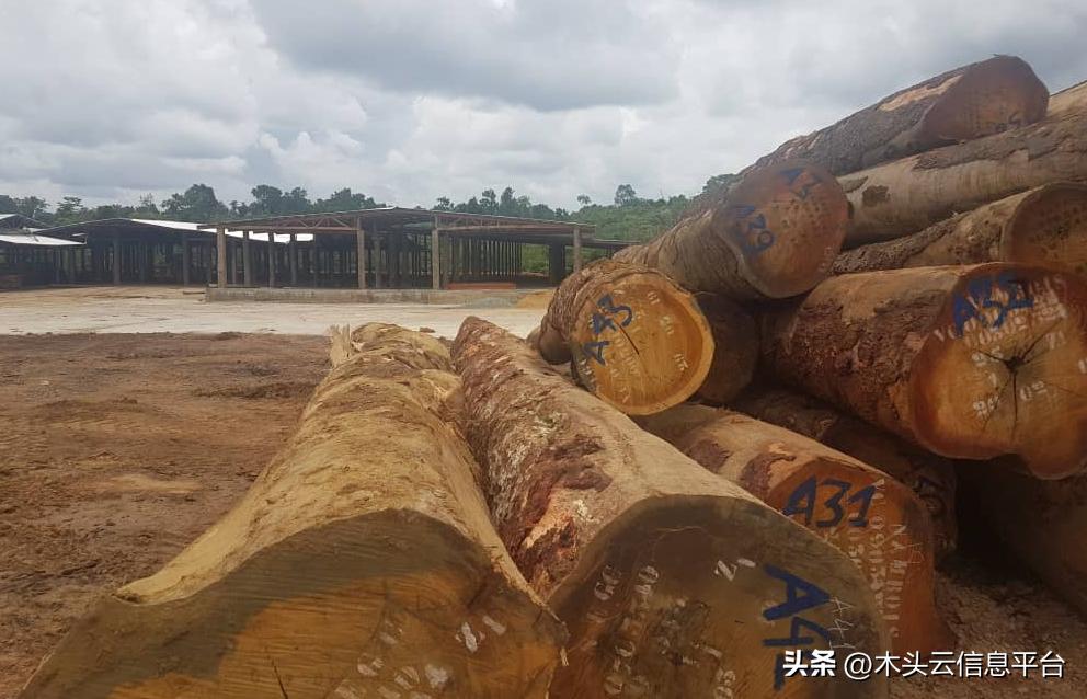 African timber merchants: unable to pass on production costs by raising ...