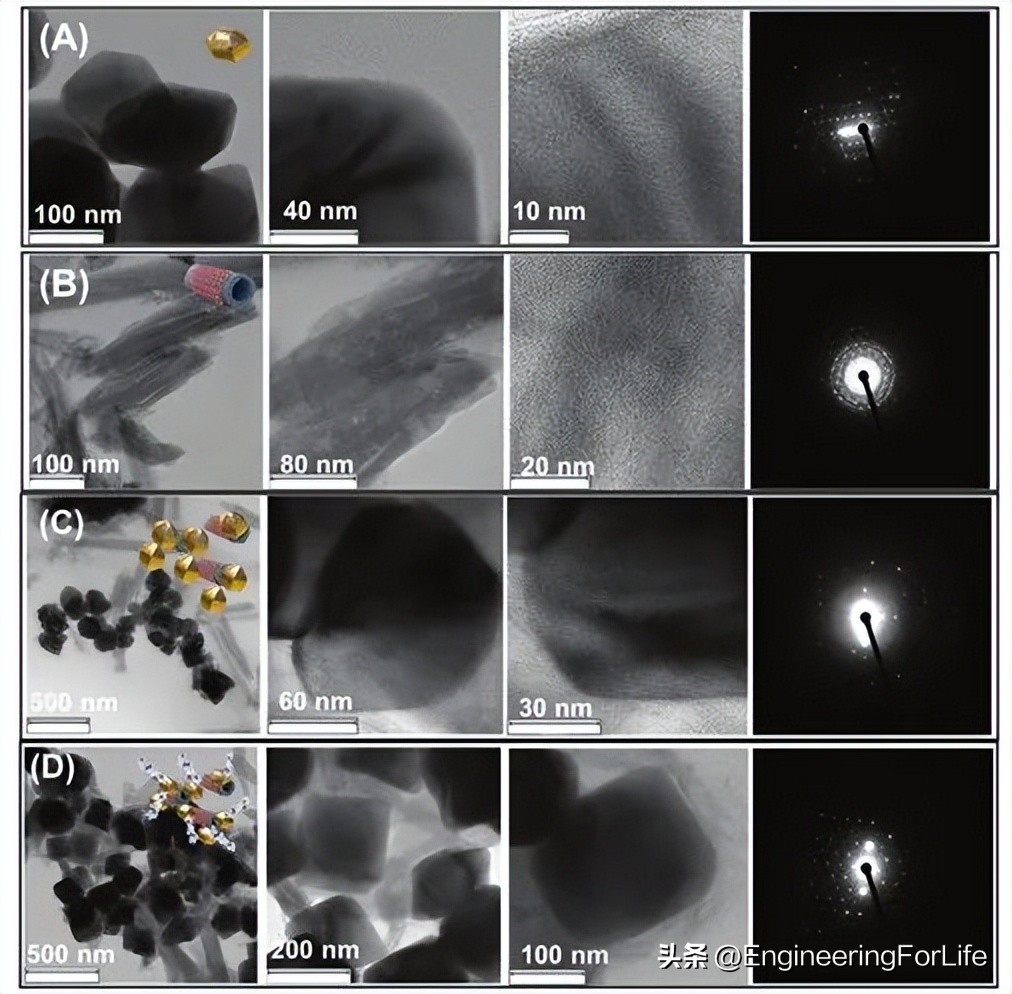 "AM": "Nano-robots" can be used to eradicate biofilms on the surface of ...