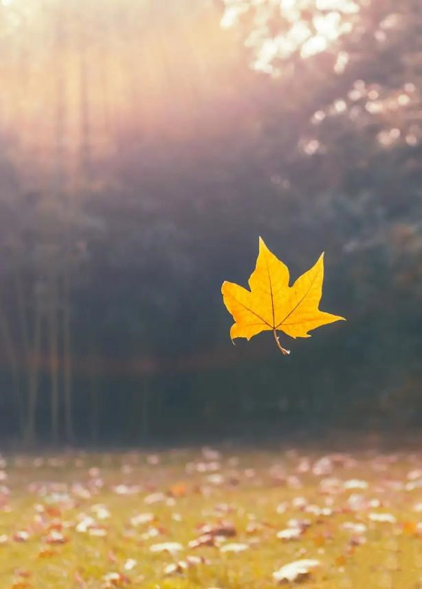 Reading: September, the most beautiful autumn - iNEWS