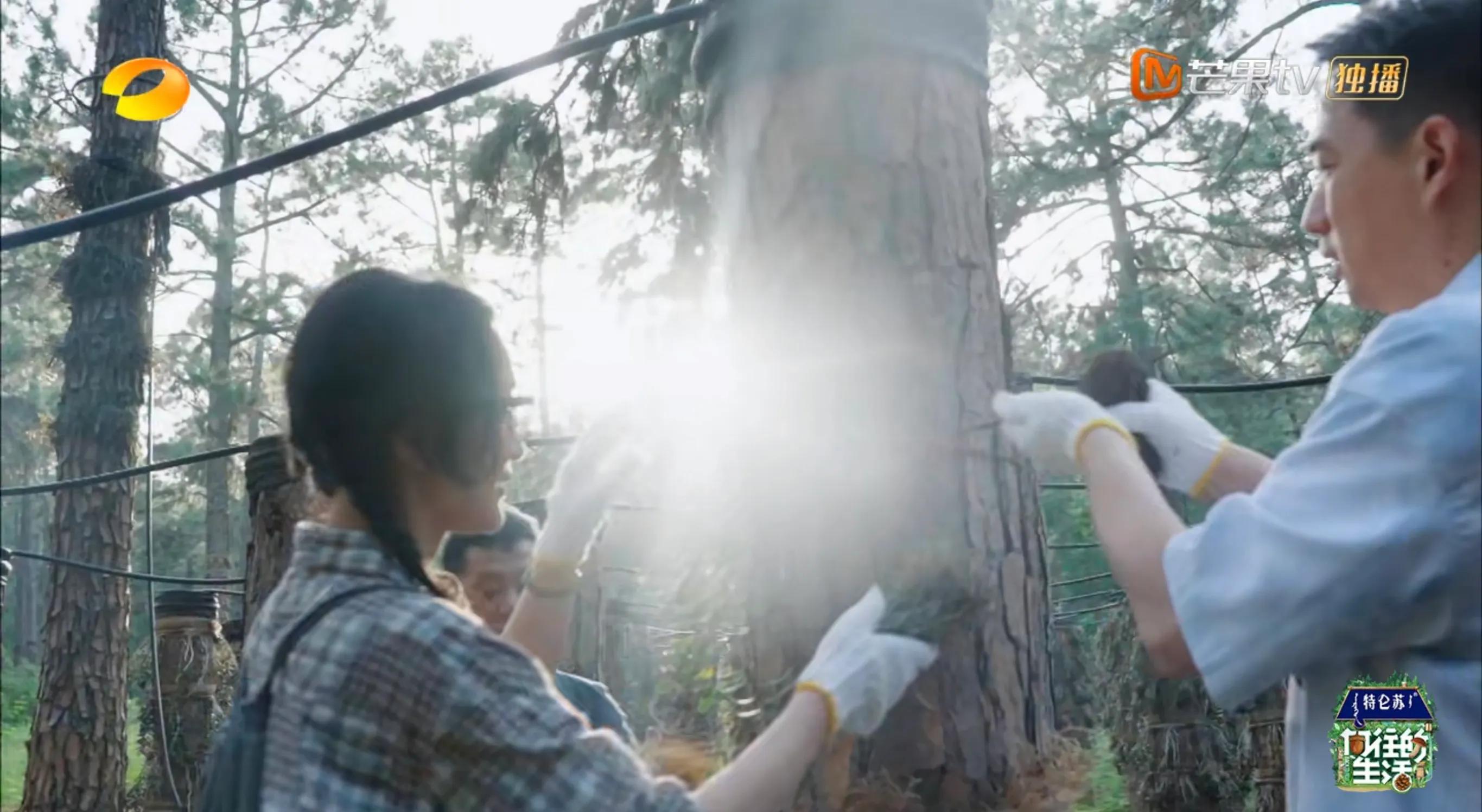 "Longing 7": After reading this issue, I am so envious of Huang Lei - iNEWS