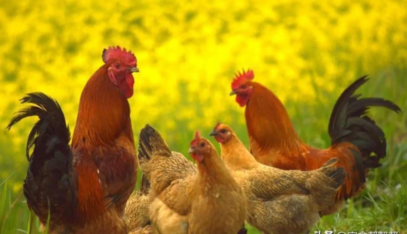 Disciple of Li Zhanhua, student of Liang Yehong, Chinese painter Zhong ...