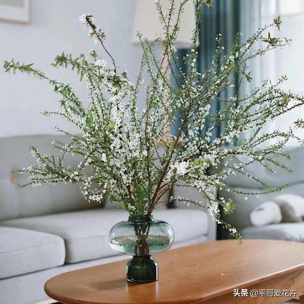 After Laba Festival, buy 2 kinds of "dried flowers" at home, you can ...